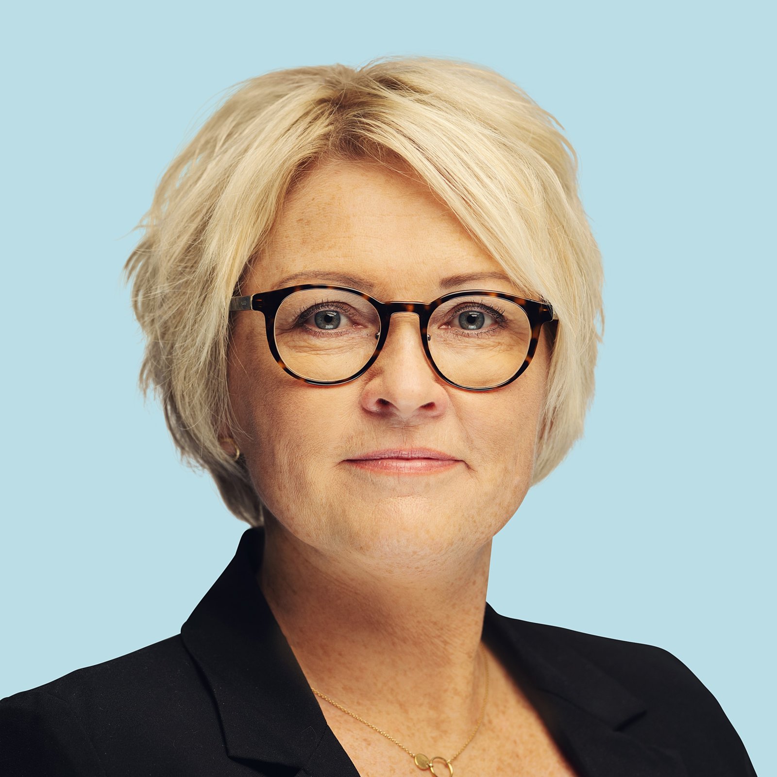 Deltas hovedstyre 2025-2028