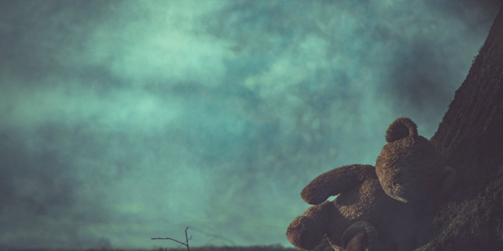 Resolusjon: Barnets beste må sikres i alle adopsjoner