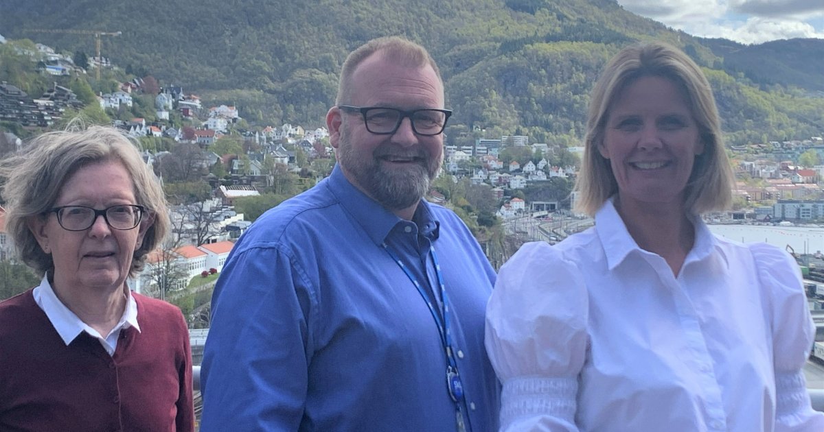 SkL-info fra Brukerdialog