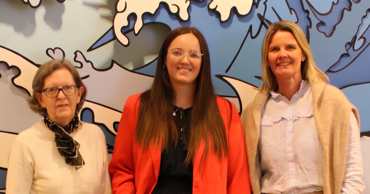 SkL-info fra Brukerdialog